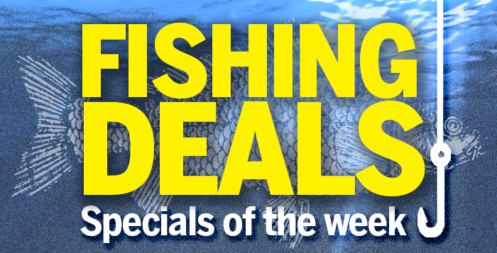 Charter fishing Deals Tampa